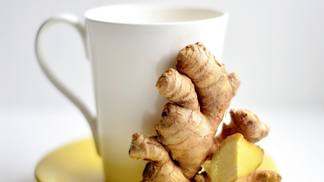 Foto Jahe: Akar Bersejarah dari Asia yang Merambah Dunia