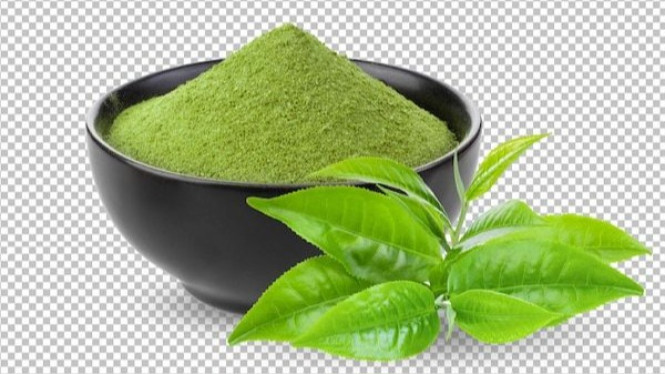 Bukan Sekadar Tren: Mengungkap Akar Sejarah dan Filosofi di Balik ...