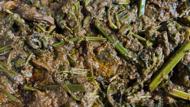 Lezatnya Rendang Lokan Pakis: Cerminan Kearifan Lokal dan Keberlanjutan ...