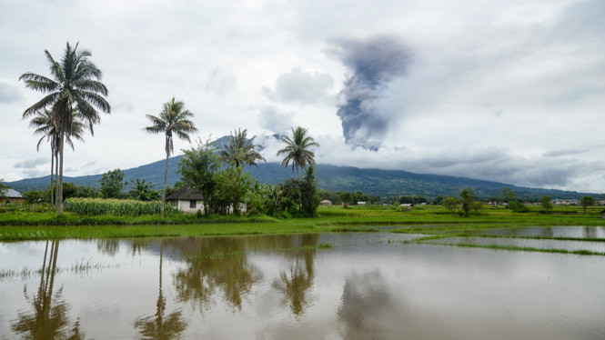 Gunung Marapi Kembali Erupsi Kolom Abu Vulkanik Capai 3 Kilometer