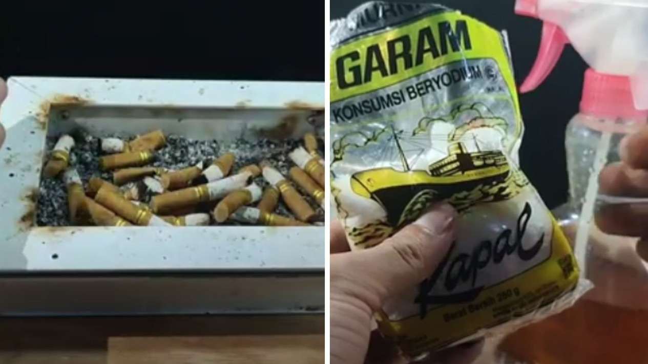 Foto Gak Percaya? Putung Rokok Bisa Jadi Pestisida Alami untuk Tanaman ...