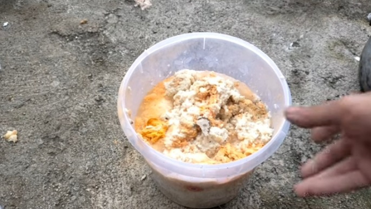 Foto Cara Bikin MOL Penyubur Tanah dari Nasi Basi, Tanaman Subur ...