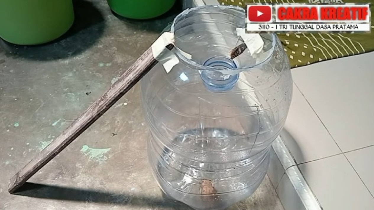 Foto Punya Galon Bekas di Rumah? Jangan Dibuang, Bisa Jadi Barang yang ...