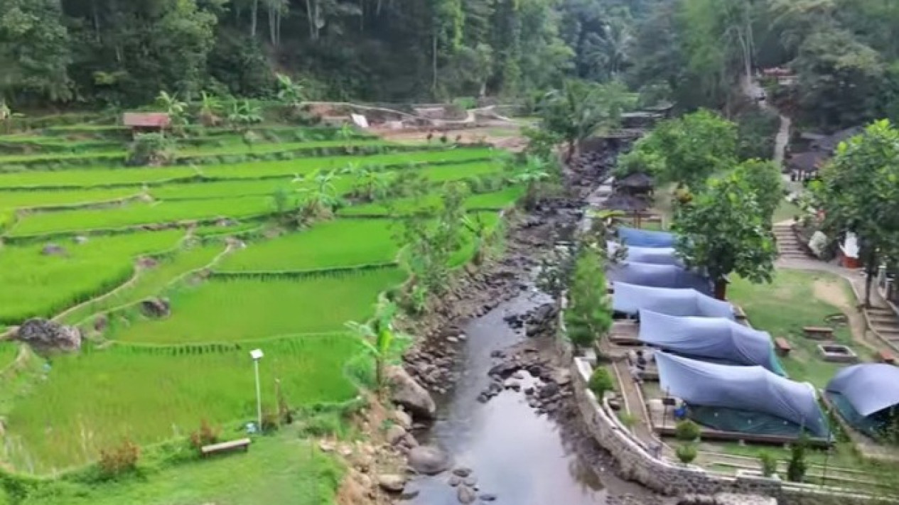 Serunya Camping di Muara Jambu Camp, Subang, Nikmati Sungai, Sawah, dan ...