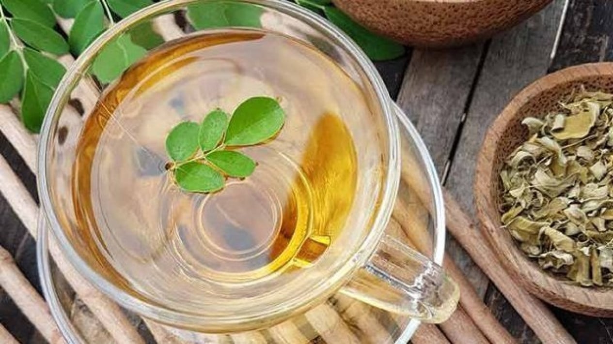 Manfaat Teh Daun Kelor: Minuman Herbal Superfood dengan Segudang Manfaat