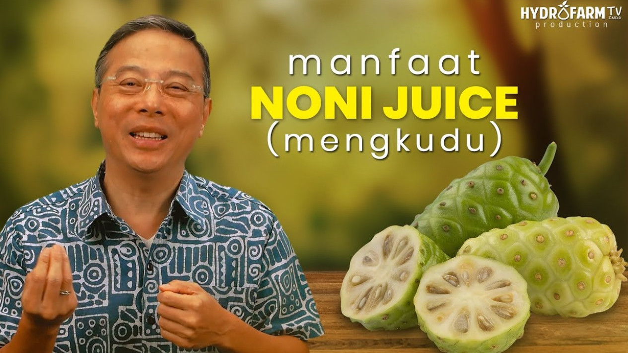 10 Khasiat Buah Mengkudu Ternyata Bikin Syok, Bisa Turunkan Kolesterol ...
