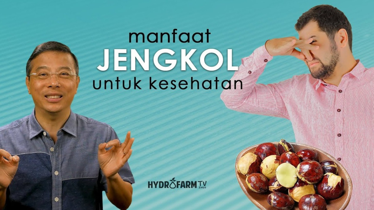 Aroma Menyengat Bukan Masalah, Jengkol Diam-Diam Simpan 8 Manfaat Luar Biasa