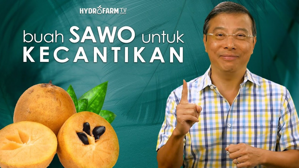 Ini Dia 14 Manfaat Buah Sawo yang Bikin Ibu Hamil Tetap Segar dan Sehat