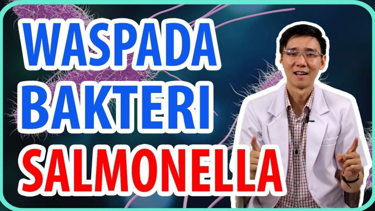 Waspada Bakteri Salmonella di Makanan Mentah, Bisa Sebabkan Infeksi Serius
