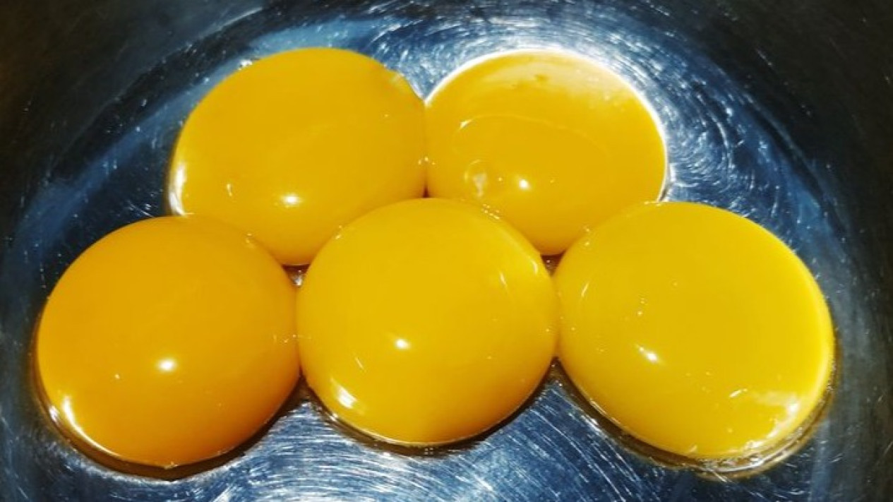 Bukan Sembarangan Kuning, Ini Manfaat Luar Biasa Konsumsi Kuning Telur ...