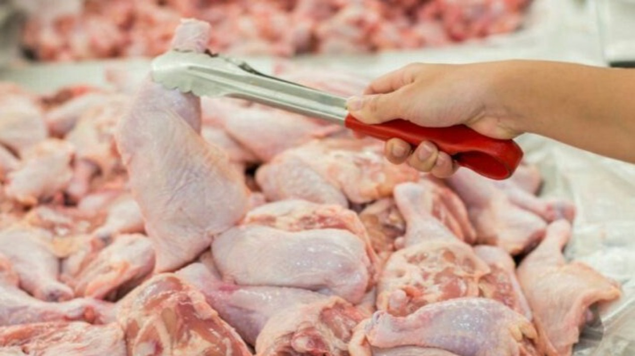 Bisa Bikin Keracunan! Yuk Kenali Tanda-tanda Daging Ayam yang Sudah Busuk