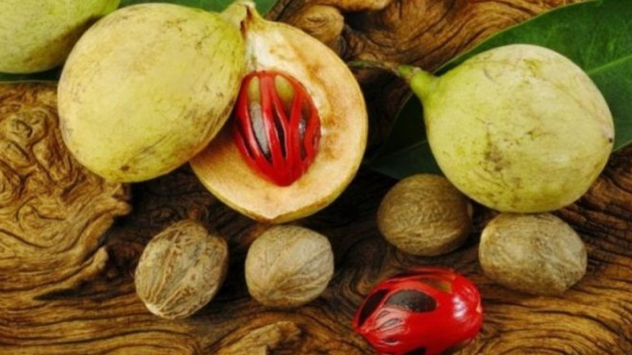 9 Manfaat Konsumsi Buah Pala, Jarang Ada yang Tahu, Padahal Sangat ...