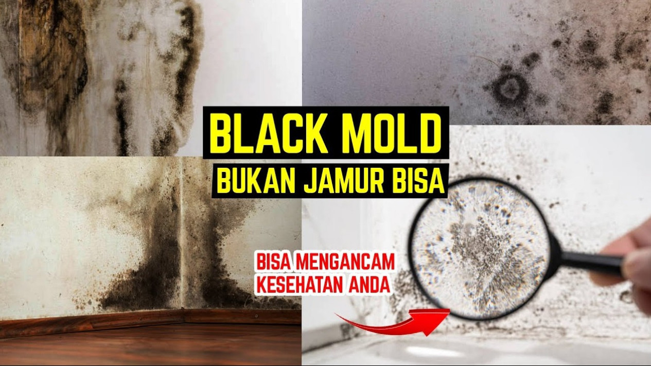 Awas! Jamur Hitam di Dinding Bisa Bikin Sesak Napas dan Hilang Fokus!