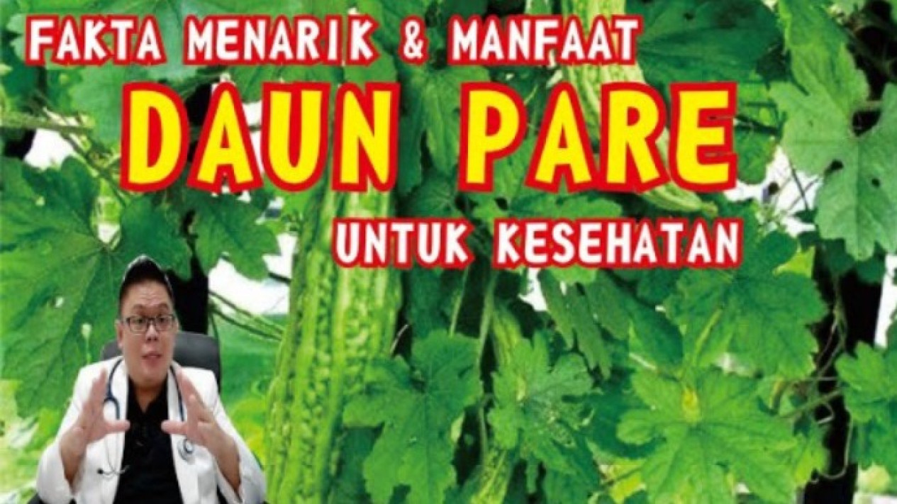 Ternyata Daun Pare Lebih Dahsyat dari Buahnya! Ini Rahasia Ilmiah di ...
