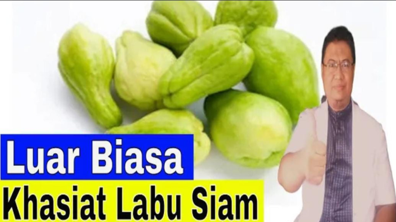 Manfaat Labu Siam Ini Bikin Syok! Dokter Bongkar Khasiat Manisah, Si ...