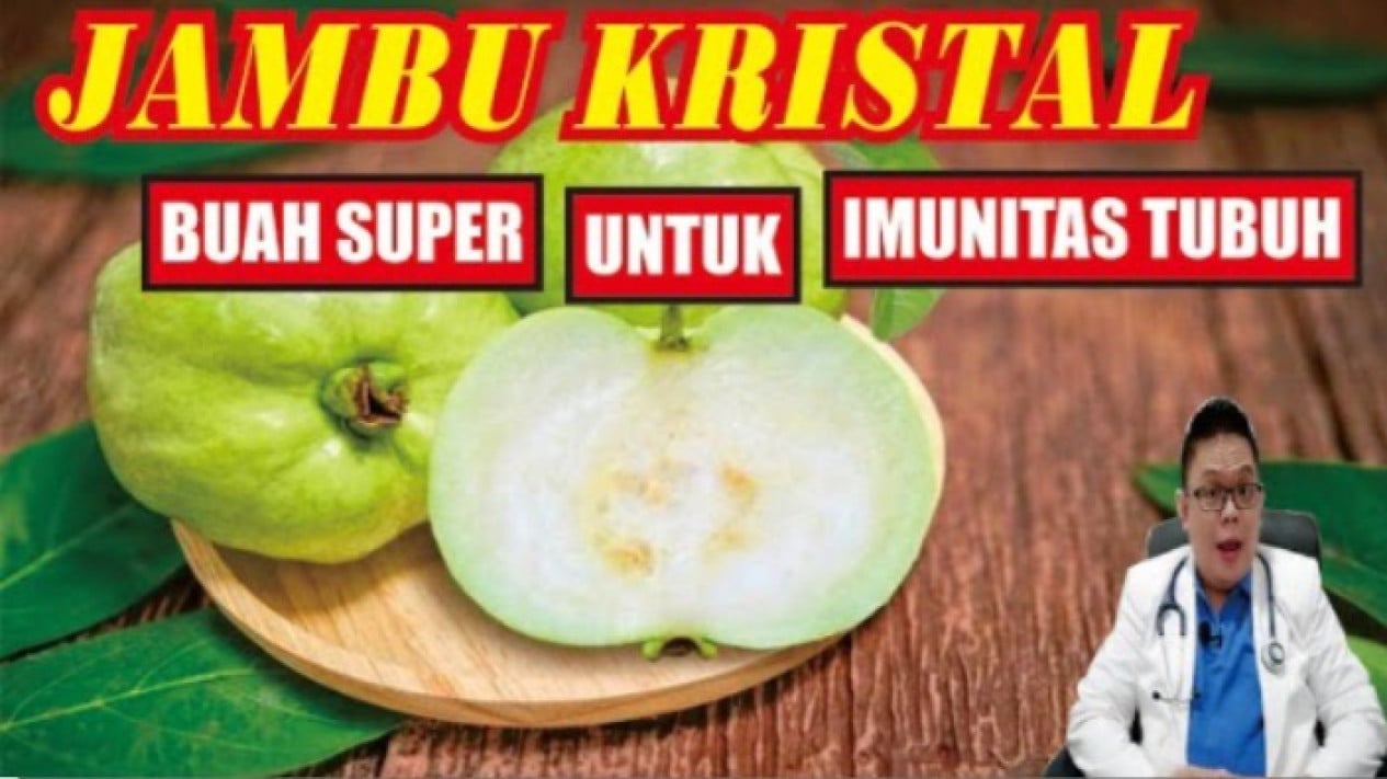Ternyata Jambu Kristal Lebih Hebat dari Jeruk! Ini 7 Manfaatnya yang ...