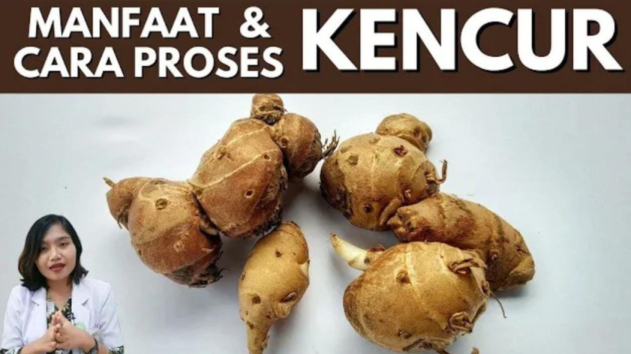 Rahasia Suara Merdu Penyanyi! Ternyata Kencur Punya Kekuatan ...