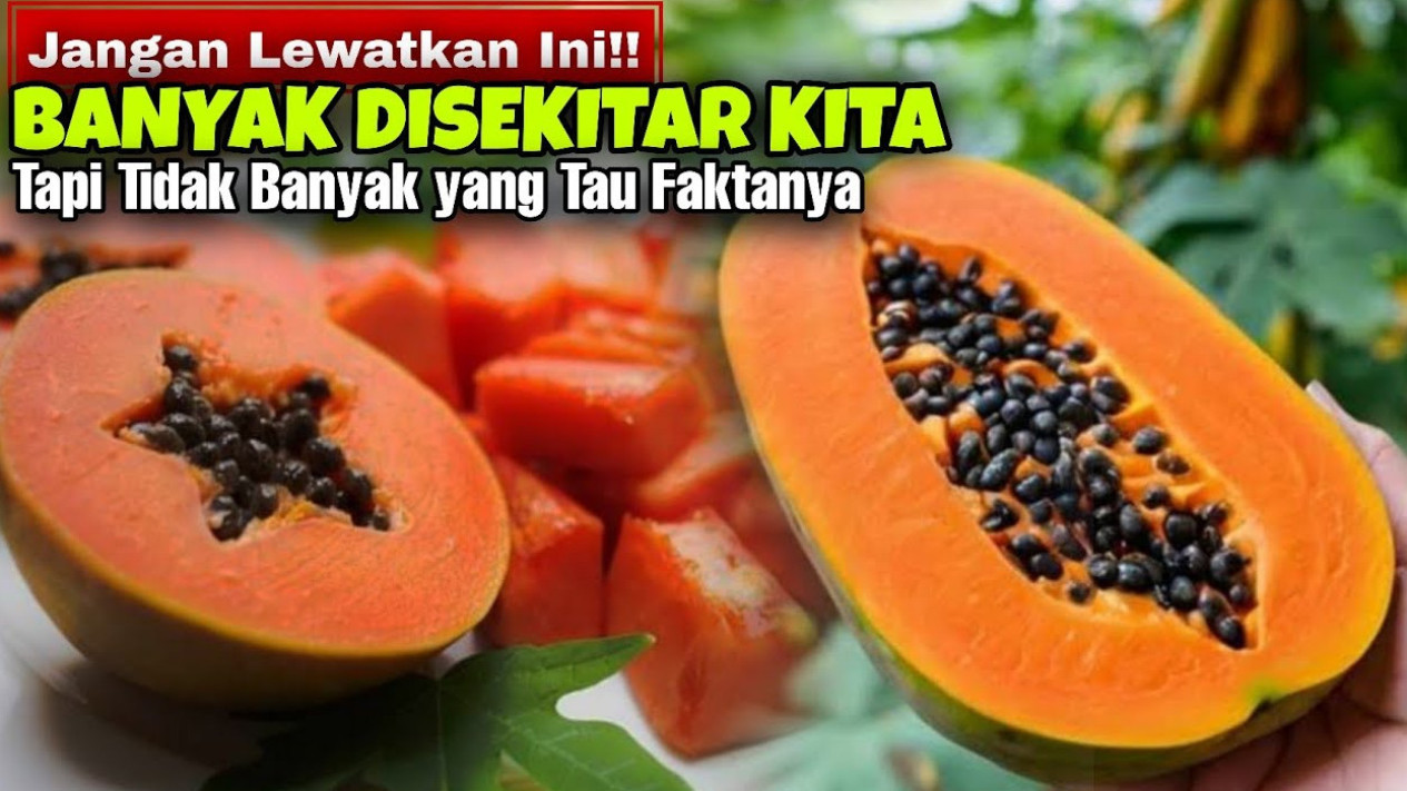 Pepaya Hebat! Dari Pencernaan Lancar Hingga Otak Cerdas, Ini 10 Manfaat ...