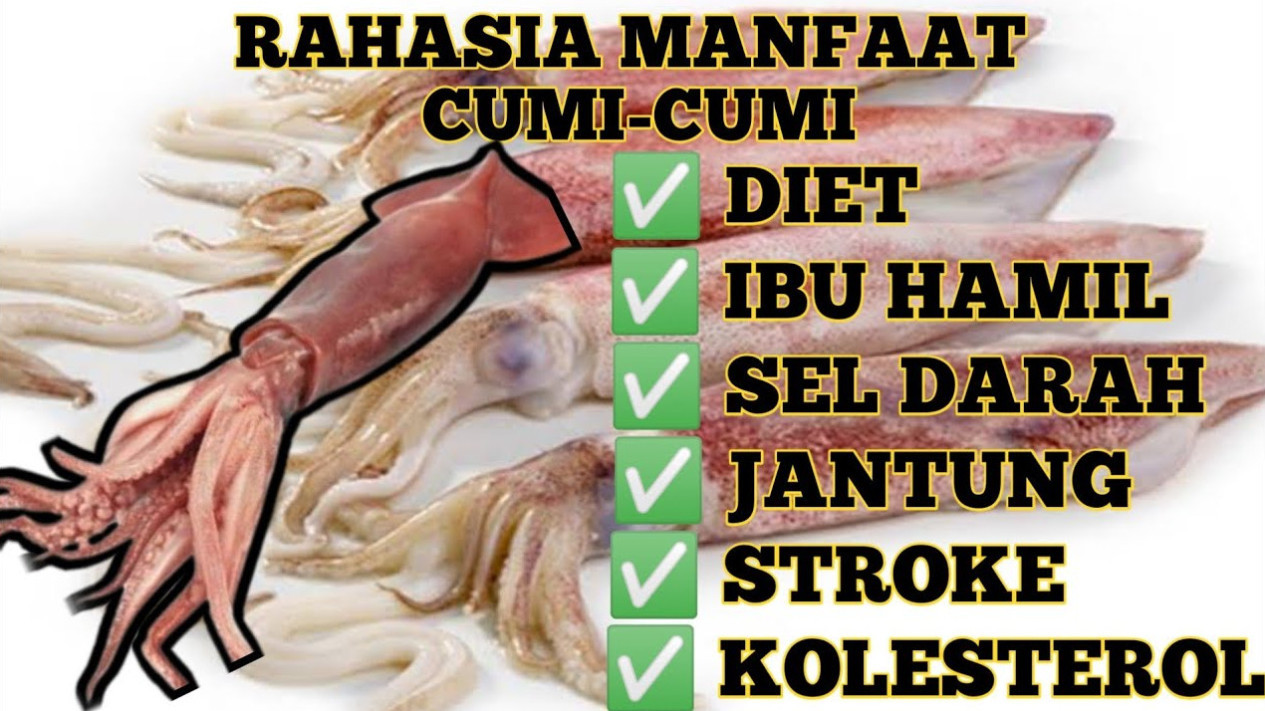 Cumi-cumi Disebut Superfood Masa Kini, Nutrisi Ganasnya Bikin Berat ...