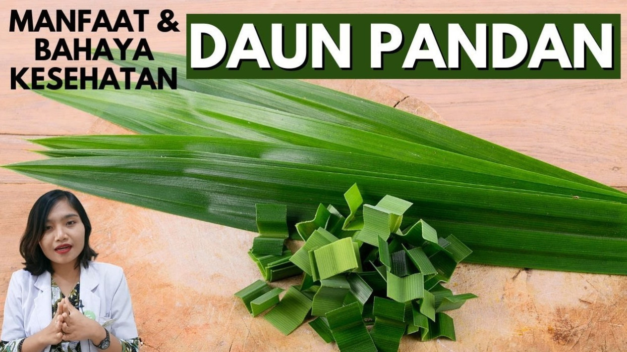 8 Manfaat Daun Pandan Terbukti Ilmiah, Tapi Hati-Hati Ada Efek Samping ...