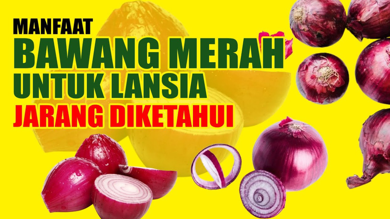 Anti-Kropos dan Jantung Baja! Lansia Wajib Tahu, Manfaat Bawang Merah ...