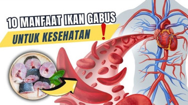 10 Manfaat Ikan Gabus untuk Kesehatan, Nomor 5 Jarang Diketahui Padahal ...