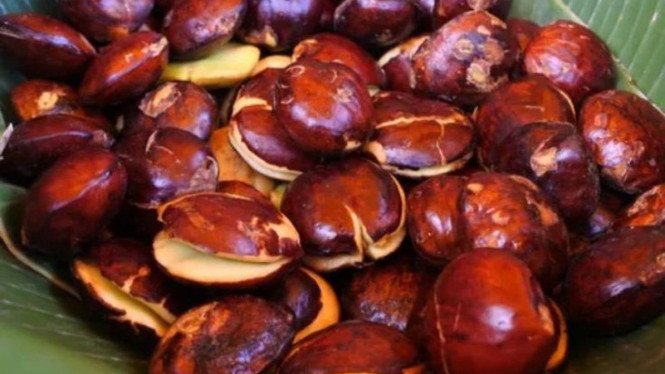 Tips Memasak Jengkol Tanpa Bau Menyengat dan Empuk Seperti Buatan Nenek