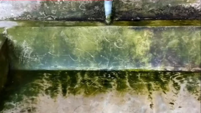 Tembok Rumah Dipenuhi Lumut? Tenang, Cukup Pakai Dua Bahan Ini Aja ...