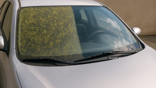 Rahasia Ampuh Mengatasi Jamur di Kaca Mobil dengan Cairan Ajaib, Hemat ...