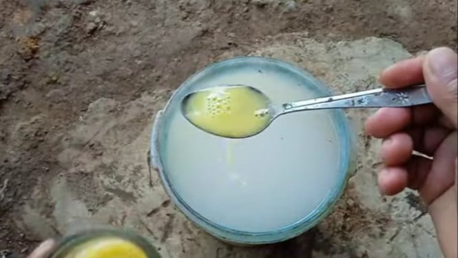 Cara Mengatasi Tanaman Sulit Berbuah dan Bunga Sering Rontok: Racikan Pupuk Alami yang Ampuh