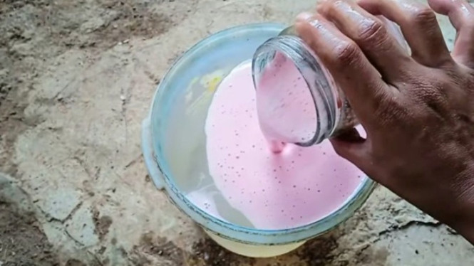 Tanaman Sulit Berbuah? Coba Paksa Pakai Racikan Pupuk Alami