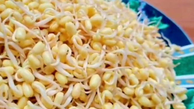 Bikin Toge Cuma Modal Toples? Cobain Cara Gokil Ini, Cuma 2 Hari ...