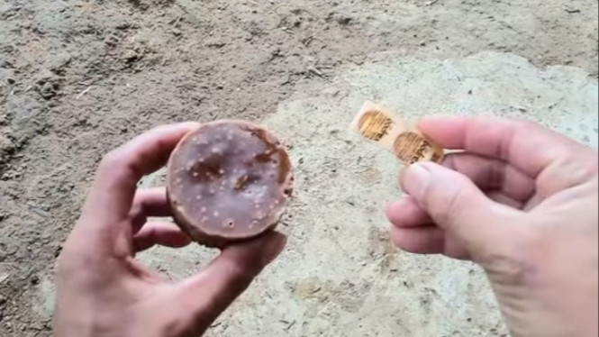 Solusi Tanaman Mandul, Sulit Berbuah dan Sulit Berbunga, Pakai Pupuk Racikan Sendiri