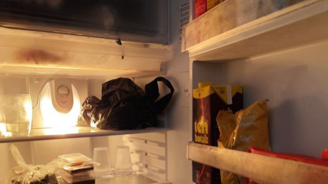 5 Bahan Alami untuk Atasi Bau Kulkas dan Menjaganya Tetap Segar, Wajib ...