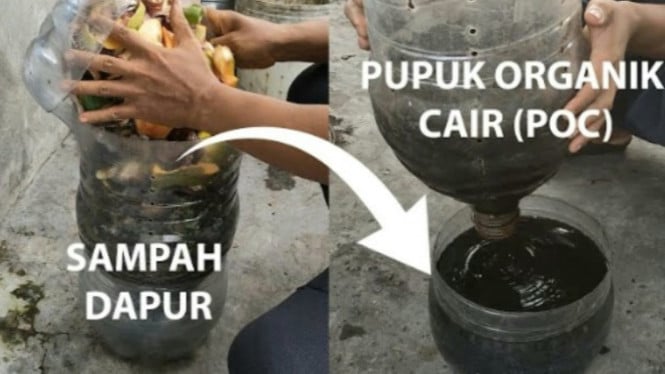 Tanpa Bau dan Maggot, Cara Mudah Membuat Pupuk Organik Cair dari Sampah ...