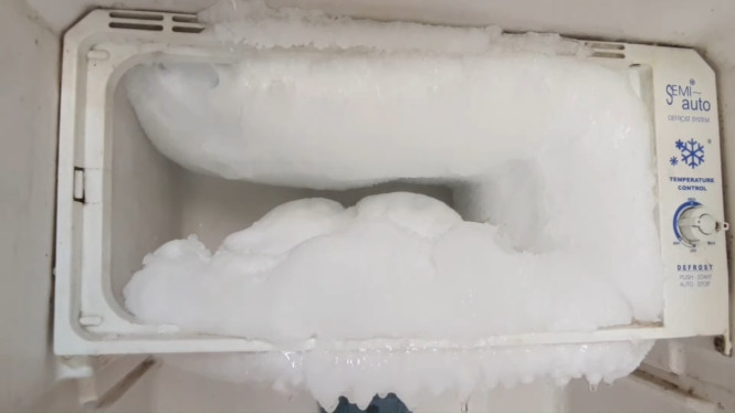 Nggak Perlu Pisau! Begini Cara Bersihin Bunga Es dalam Hitungan Detik