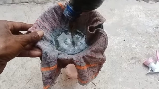 Tips Basmi Hama Tikus, Semut, dan Kecoa di Rumah dengan Satu Ramuan ...