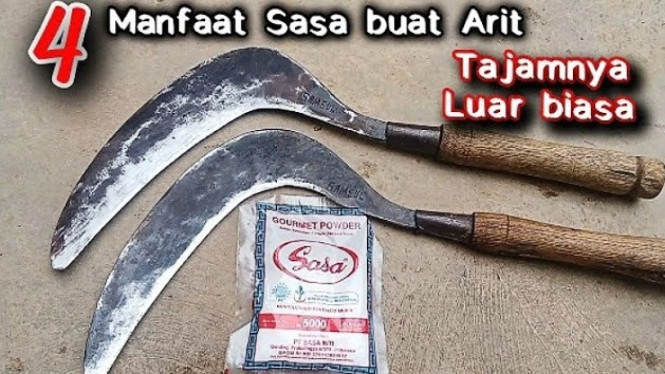 Arit Rumput Jadi Tajam Luar Biasa, Ini Empat Manfaat Sasa yang Jarang ...