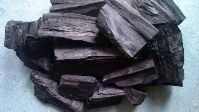 Bikin Arang Tanpa Mesin! Begini Cara Mudah Ubah Kayu Jadi Alat Panggang ...