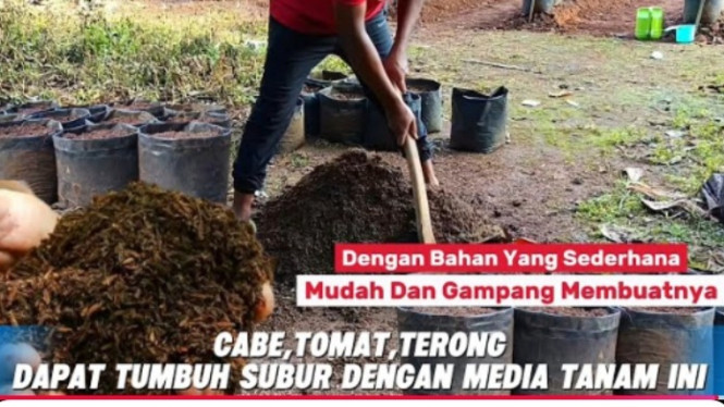 Paling Subur! Ini Cara Membuat Media Tanam Gembur dan Cocok untuk Semua Tanaman