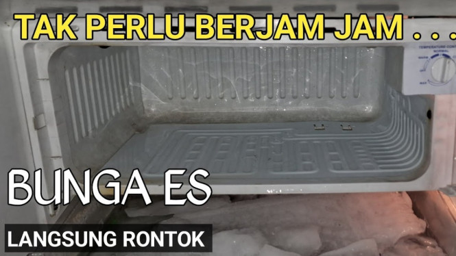 Cuma Modal Air Panas! Trik Cepat dan Ampuh Singkirkan Bunga Es Kulkas ...