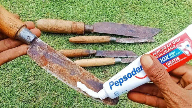 Pisau Berkarat dan Tumpul Bikin Kesal? Jangan Dibuang Dulu, Coba Oles ...