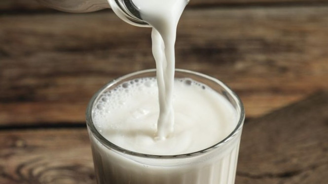 Perbandingan Susu Sapi, Oat, dan Almond: Mana yang Paling Cocok untuk ...