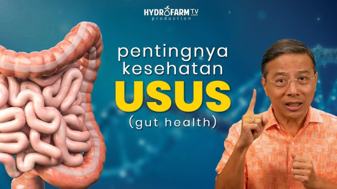 Usus Sehat Tanpa Ribet, 6 Makanan Ini Bisa Jadi Solusi Detoks Harianmu