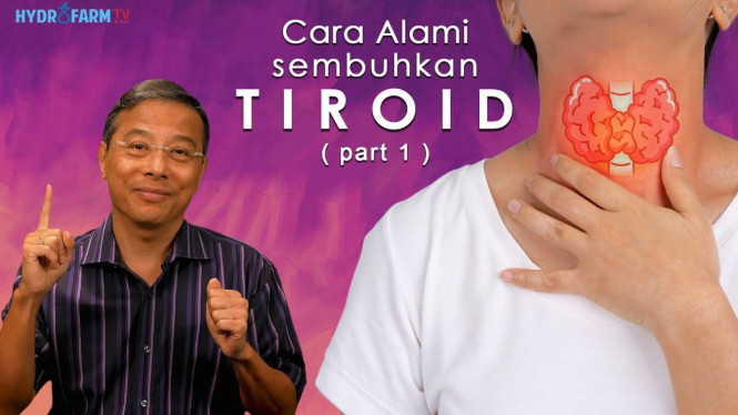 Tiroid Gampang Diatasi Modal Bahan Dapur, Ini 8 Cara Alami Bikin Dokter ...
