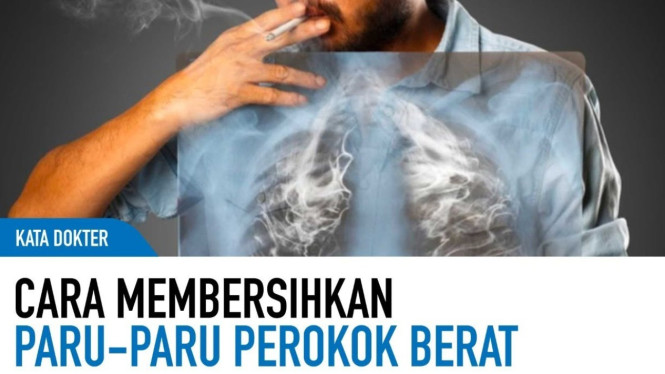 Paru-paru Bisa Kinclong Lagi! Rahasia Detoks Perokok Berat yang Bikin ...