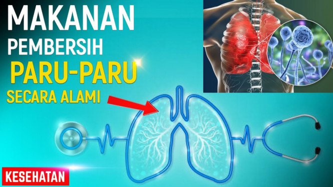 Paru-Paru Bersih dalam Hitungan Minggu? Coba 7 Makanan Super Ini ...