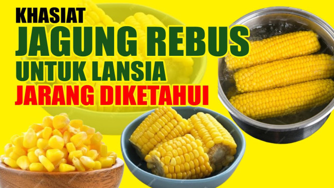 Stop Anggap Remeh! Rahasia 12 Manfaat Jagung Rebus Ini Bikin Lansia ...