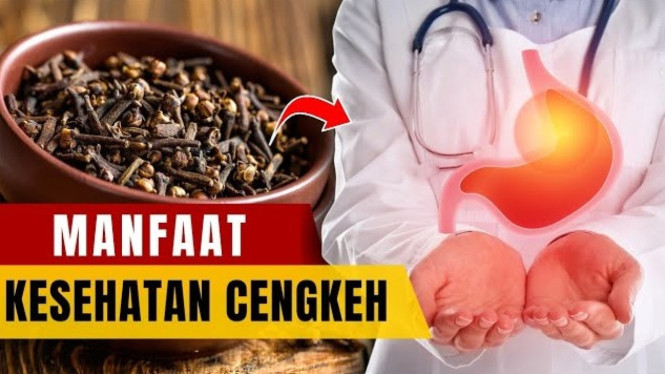 Jangan Remehkan Cengkeh! Rempah Alami Ini Kaya Antioksidan dan Manfaat ...