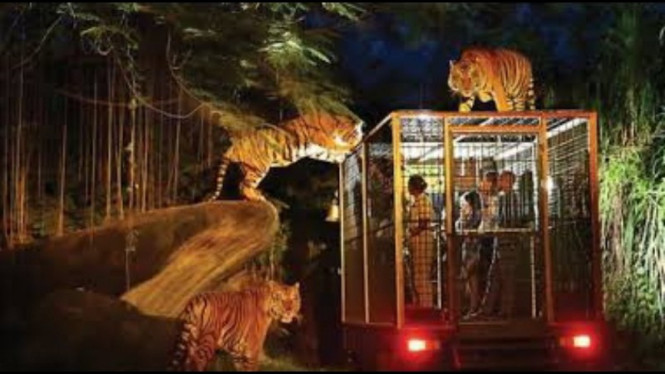 Asik, Kini Warga Jakarta Sudah Bisa Menikmati Sensasi Night at The ...